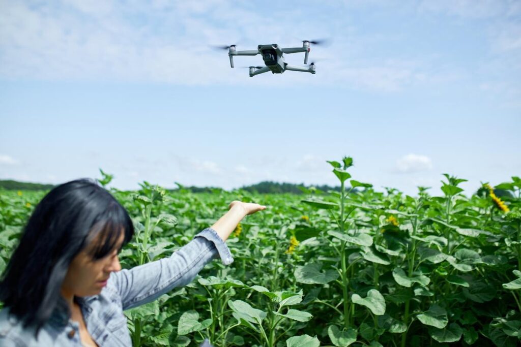 Drones et agriculture : amélioration de la surveillance des cultures ...